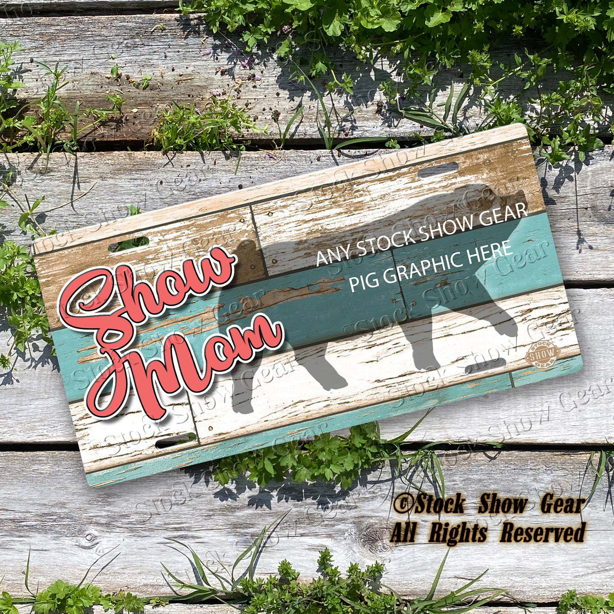 Any Pig Graphic "Show Mom Beach Boards" License Plate Design – Stock ...