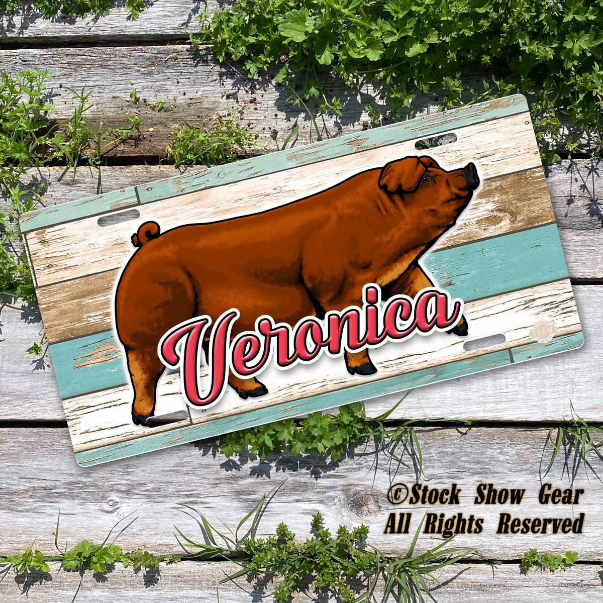 Duroc Pig "Beach Boards" License Plate Design – Stock Show Gear