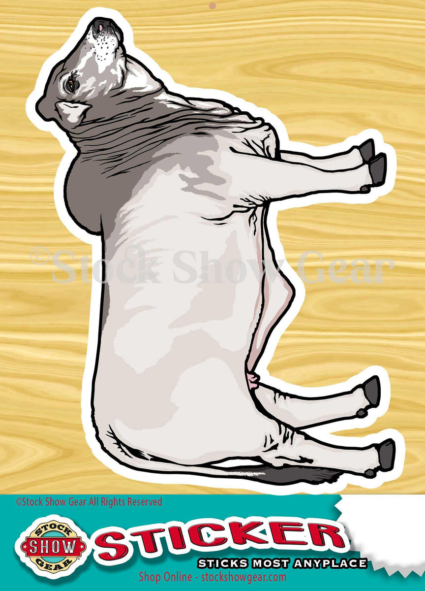 Brahman Stickers – Stock Show Gear