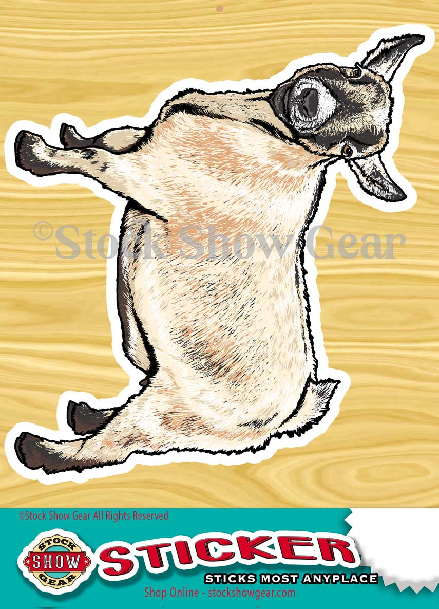 Caramel Pygmy Goat Stickers – Stock Show Gear